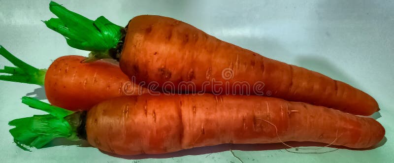 Close Up Carrots on White Background Stock Image - Image of carrots ...