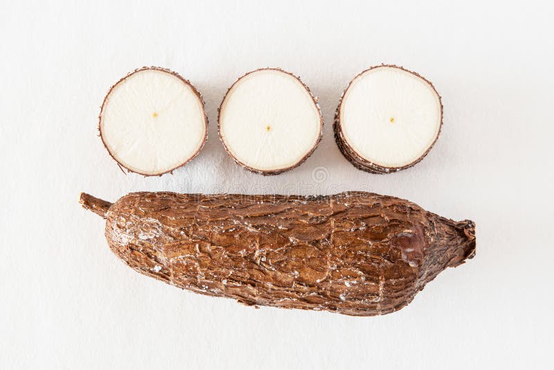 Manioc and tapioca stock image. Image of agriculture - 281697531