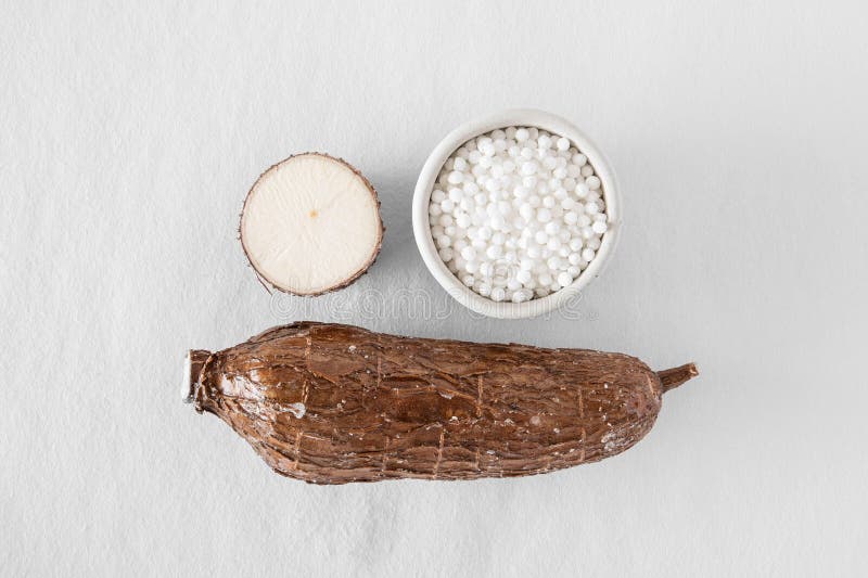 Manioc and tapioca stock image. Image of agriculture - 281697531