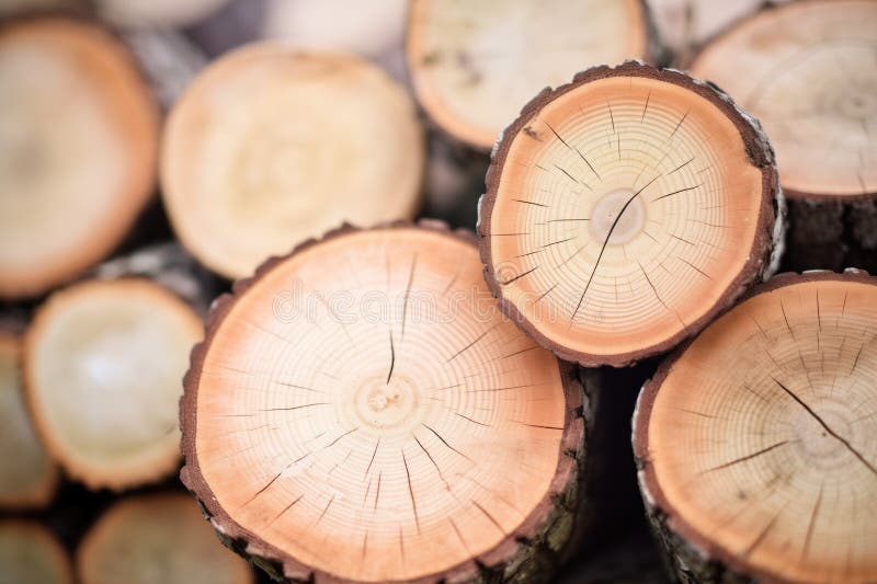 Close-up of Cedar Log Ends in a Circular Stack Stock Photo - Image of ...