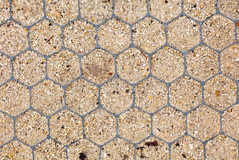 Close-up of a Cellular Pattern Garden Sand Pathway Stock Photo - Image ...