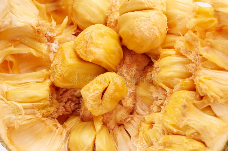 Close Up of Cempedak or Artocarpus Interger Stock Photo - Image of ...