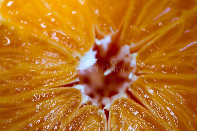 Close Up of Center of Orange Slice Stock Image - Image of color, juice ...