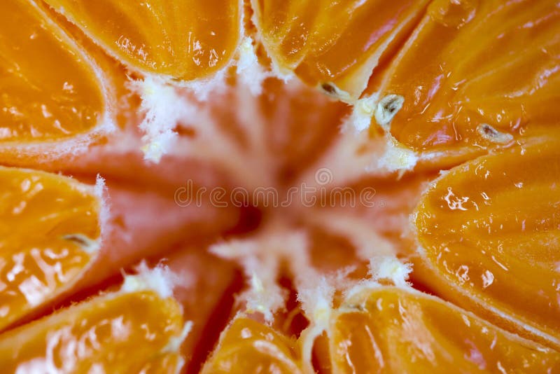 Close Up of Center of Orange Slice Stock Photo - Image of fresh ...