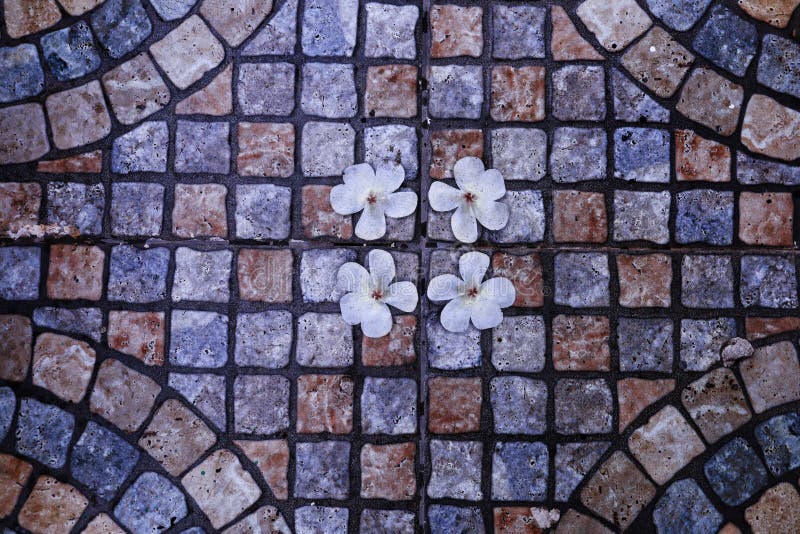 Ceramic Tile Texture for Floor Decoration Stock Photo - Image of ...