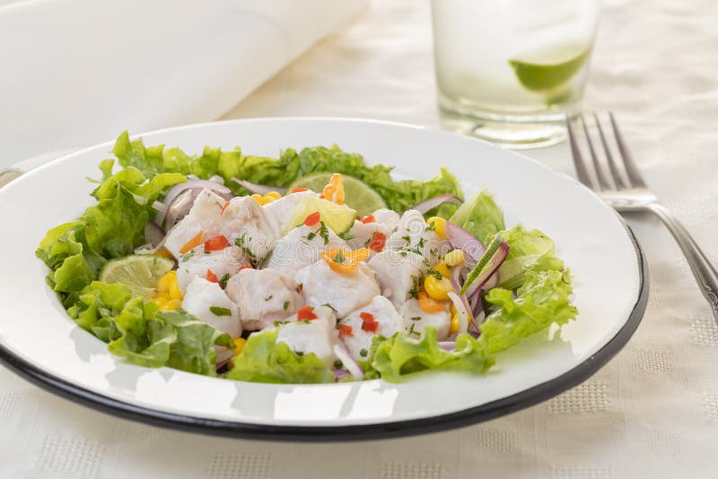 Close Up of Ceviche, Typical Fish-based Dish of Peruvian Cuisine Stock ...