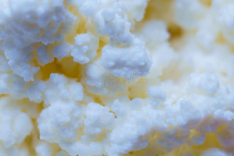 Close-up of Cheese Curd in a Plate Ready To Eat Stock Photo - Image of ...