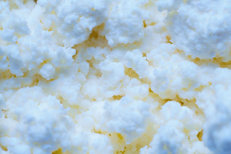 Close-up of Cheese Curd in a Plate Ready To Eat Stock Image - Image of ...