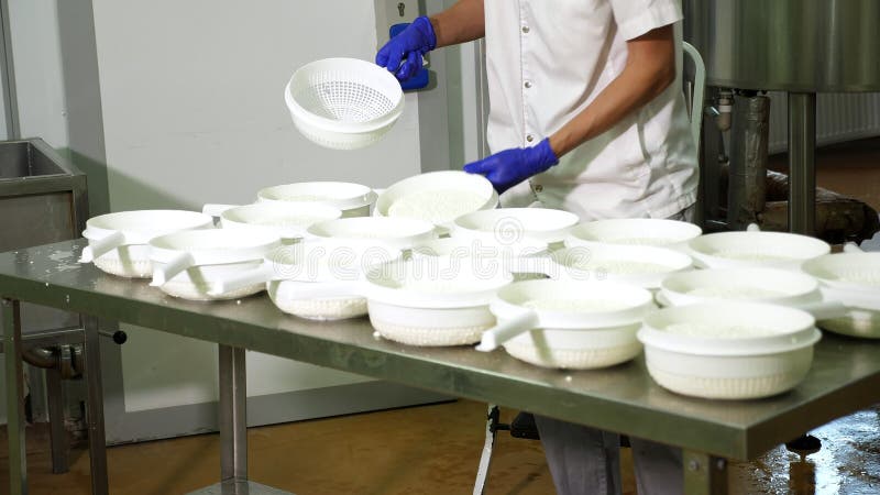 A Close-up of the Cheese-making Process at a Private Dairy Factory ...