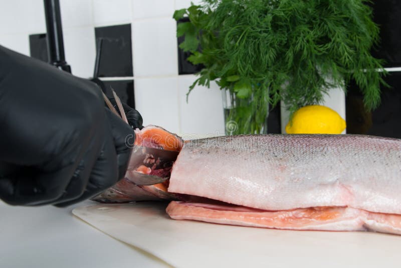 Hands in Gloves are Gaining an Injection from a Jar into a Syringe on ...