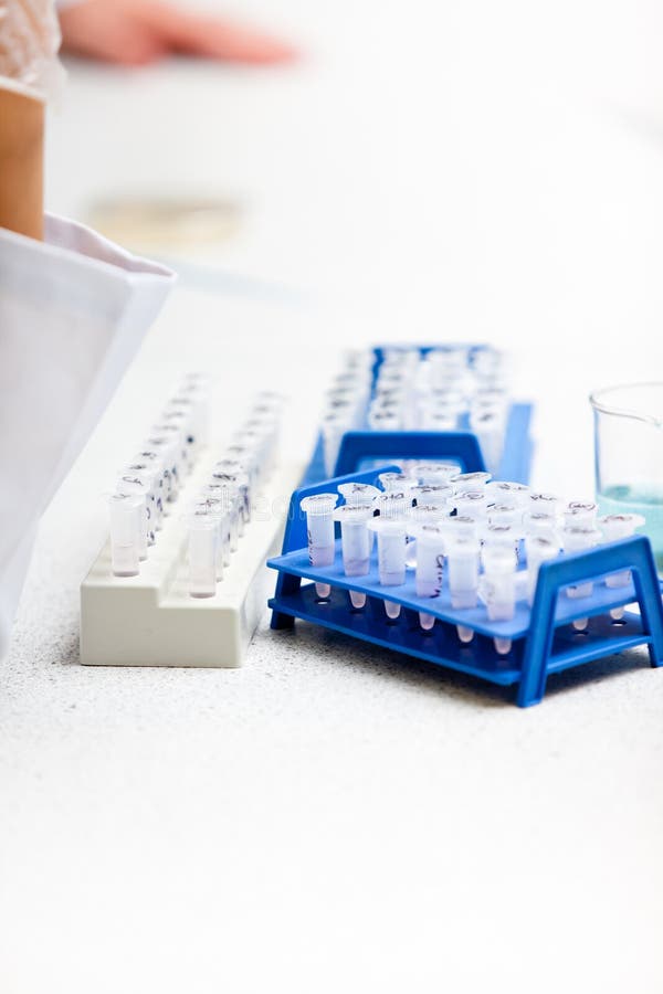 Lab Trays stock image. Image of white, glass, accurate - 18680177