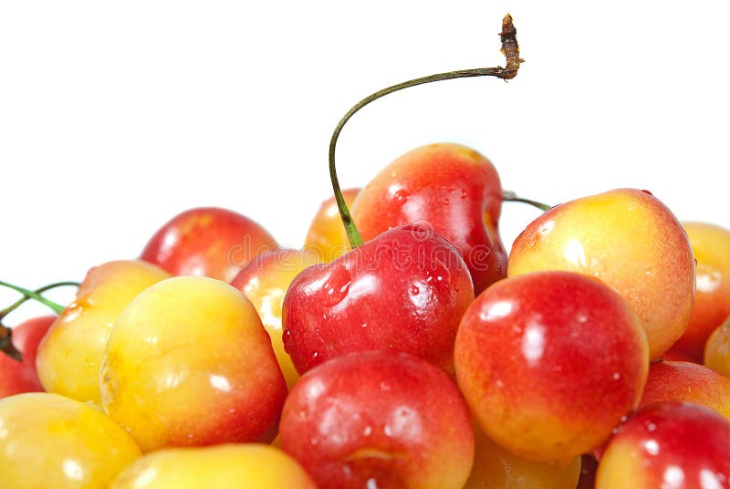 Close up of cherries stock photo. Image of market, edible - 26103484