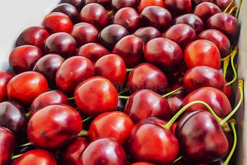 Close up cherries in a box stock image. Image of agriculture - 188167187