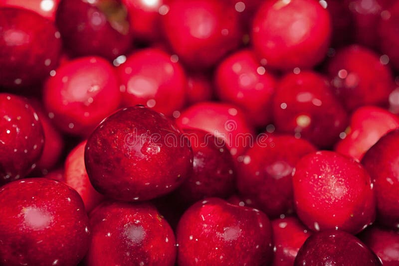 Close up of cherries stock image. Image of macro, nutrient - 152673511