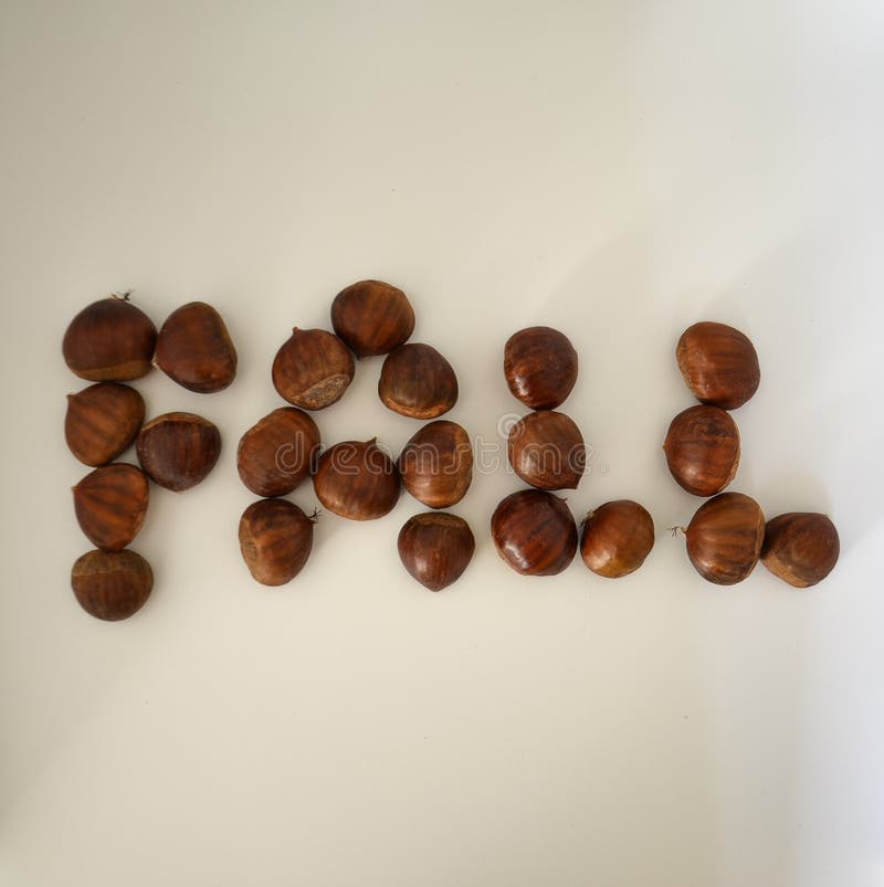 Close Up of Chesnuts on White Background Creating the Word Fall Stock ...