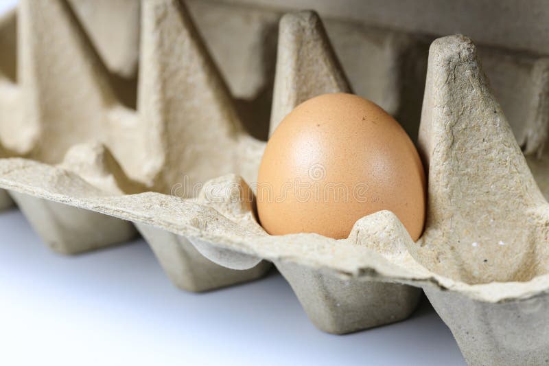 Chicken Egg Box Made Recycle Material Nature Light Stock Photos - Free ...