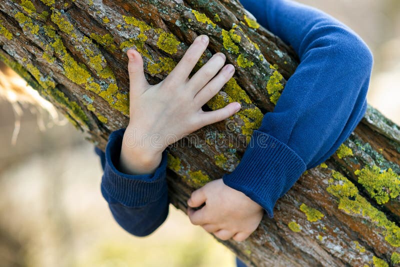 Close Up of Child Hands Embracing a Tree Trunk Stock Photo - Image of ...