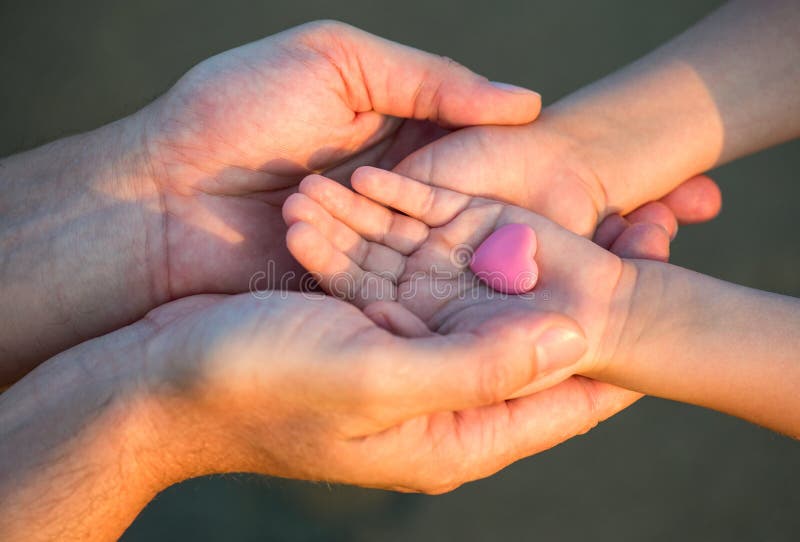 Close Up of Child and Man Hands with Heart Stock Image - Image of organ ...
