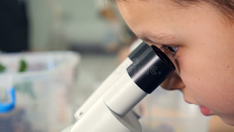 School Child Looking into Microscope Doing a Science Experiment in ...