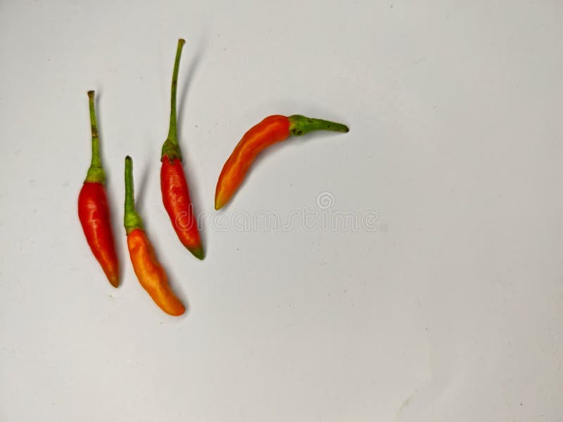 Close Up on Chilli. this is Spicy Chilli with Red Colour Stock Photo ...