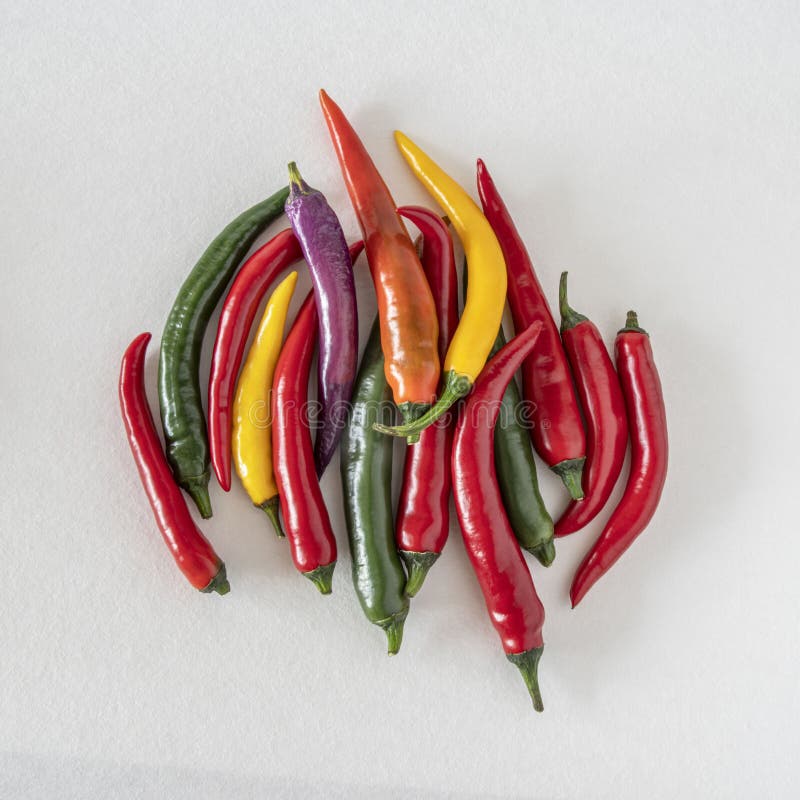 Close up of chillies stock image. Image of ripe, close - 272588557