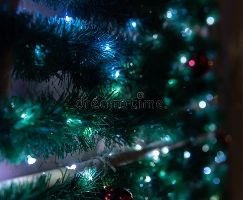 Close-up of Christmas Lights on a Tree Stock Image - Image of ornament ...