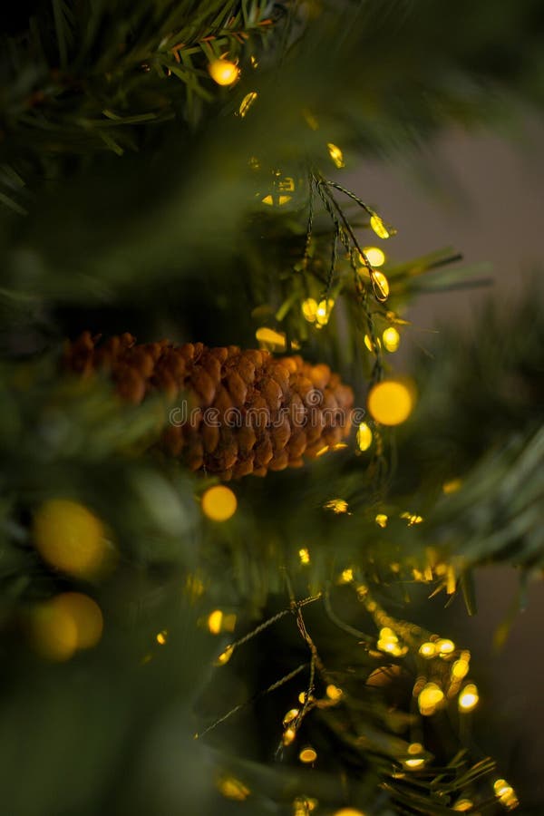 Close-up of a Christmas Tree Adorned with Twinkling Lights Stock Image ...