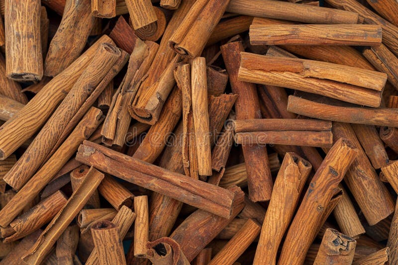 Close Up of Cinnamon Sticks Square Format Spice Essence Stock ...