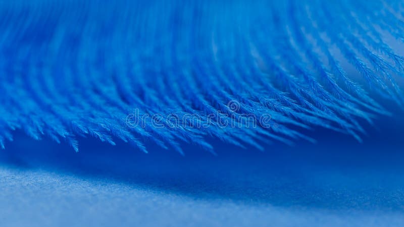 Close Up of Blue Feather Texture Background Stock Image - Image of ...