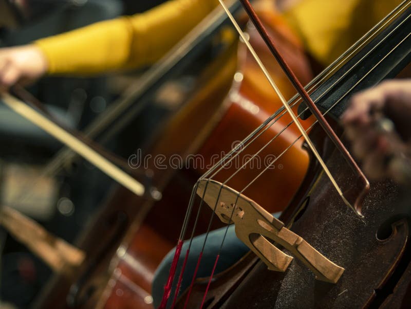Violin in a Large Close-up - Side View - Background - Symphony ...