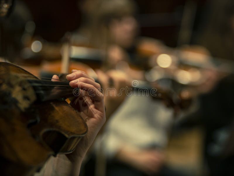 Violin in a Large Close-up - Side View - Background - Symphony ...