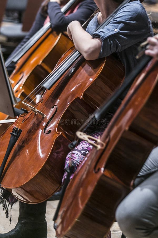 Row of Contrabass - Side View - Background - Symphony Orchestra ...