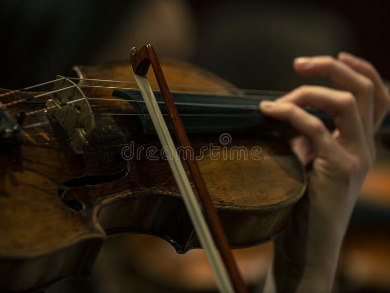 Violin in a Large Close-up - Side View - Background - Symphony ...