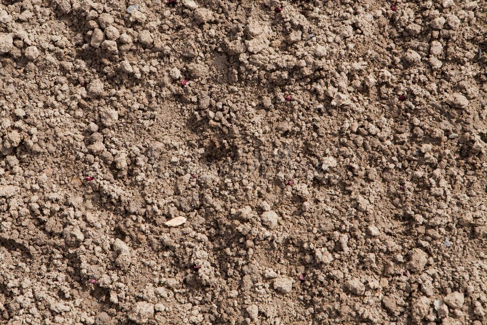 Close up clay soil stock image. Image of clods, nature - 122632211