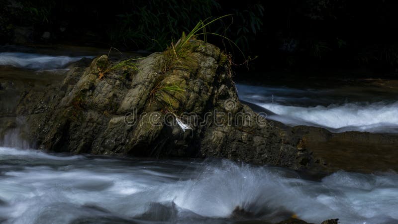 Close-up, Clean and Cool, Stream, Valley, Mountain Spring, Water Flow ...