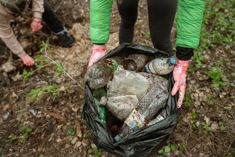 Close Up of Cleaning Forest, Environment from Plastic Stock Photo ...