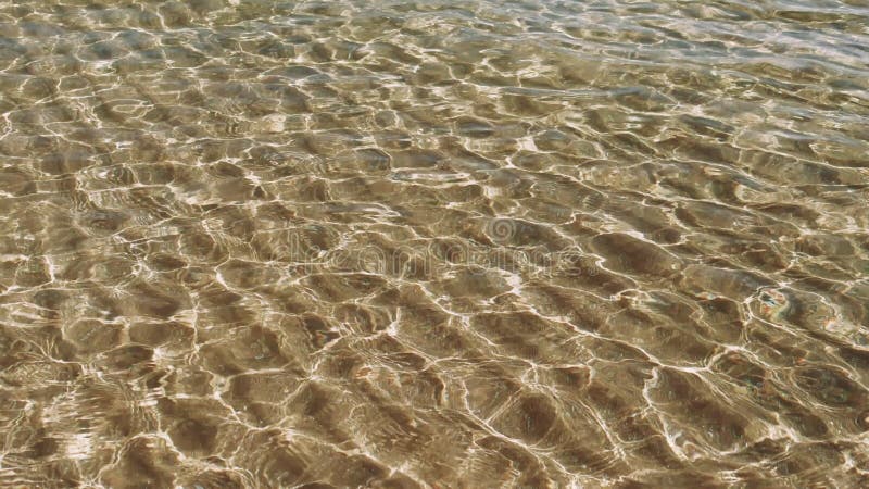 Close-up of Clear Water Ripples, a Dance of Light and Motion. Each ...