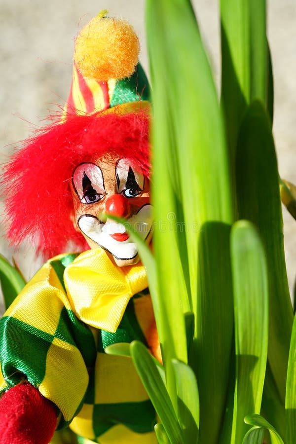 Close-up of a Clown at Carnaval Stock Image - Image of plant, costume ...