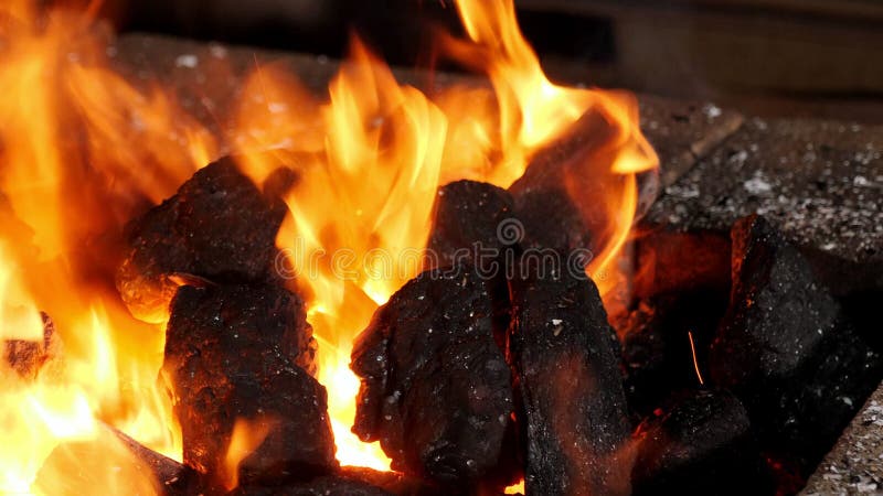 Close-up of Coal Burning in a Fire in the Forge. Stock Footage - Video ...