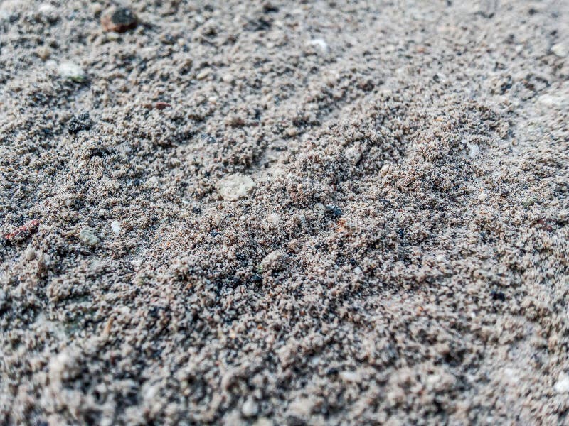Close-up of Coarse Gray-brown Sand Texture, Suitable for Natural ...