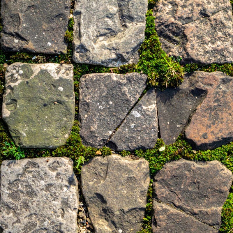 Close Up of Cobblestone Pavement with Gray Texture Background and Green ...
