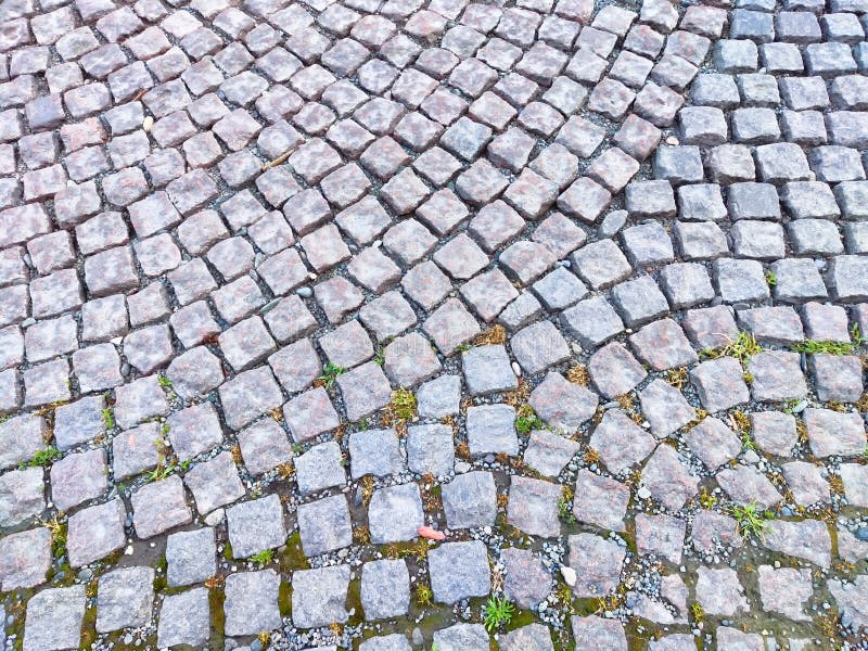 Cobblestone Pavement with Unique Pattern and Greenery in Urban Area ...