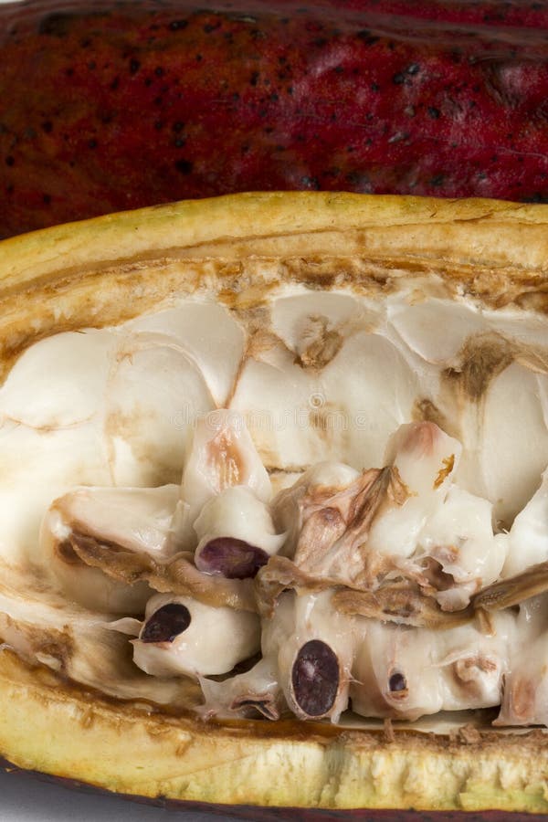 428 Cocoa Pulp Stock Photos - Free & Royalty-Free Stock Photos from ...