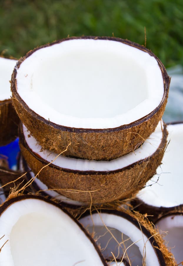 Close up of coconut stock photo. Image of environment - 34311982
