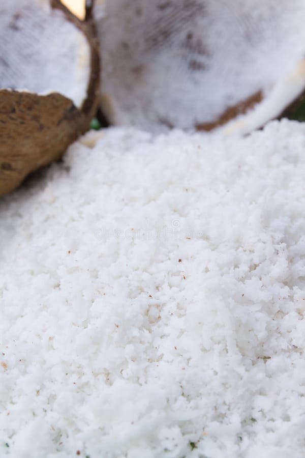 Close Up of a Coconut and a Pile of Shredded Coconut Stock Image ...