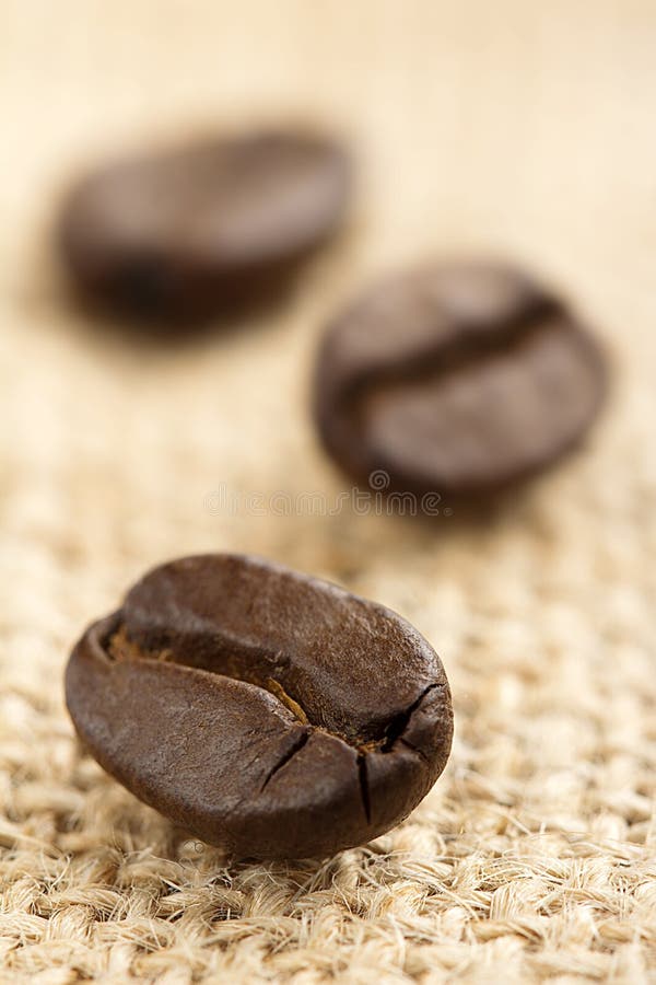 Coffee bean front and back stock photo. Image of breakfast - 34651030