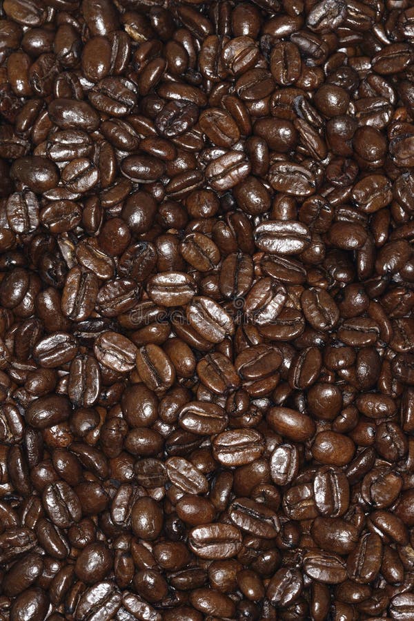 Close-up on Coffee Beans Full Frame Stock Photo - Image of group, full ...