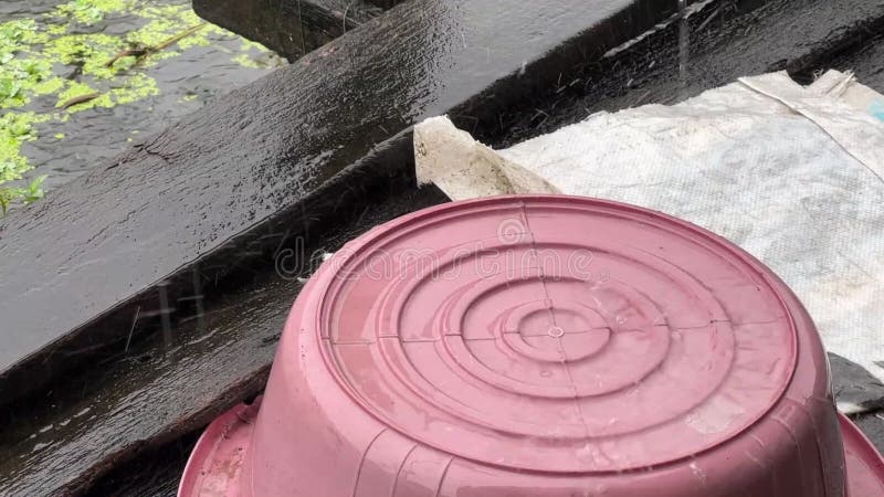 Collected Rain Water in Red Plastic Basin Stock Footage - Video of ...