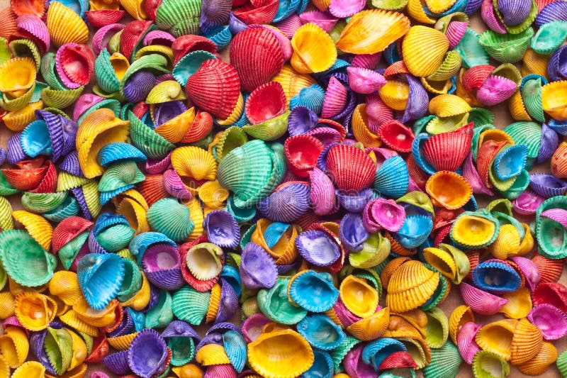 Bold Color Shells stock photo. Image of color, blue, pattern - 26732562