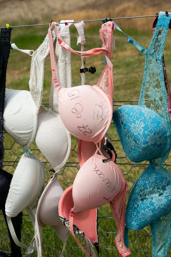 238 Bras Hanging Stock Photos Free Royalty Free Stock Photos from Dreamstime